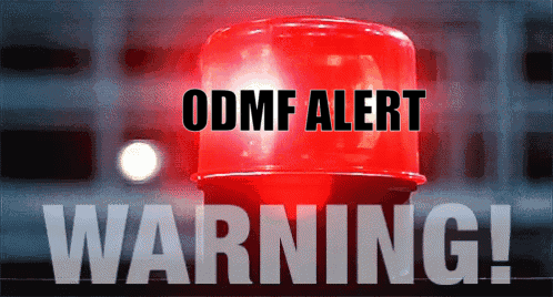 Budweiser Takes a Hit! | Page 3